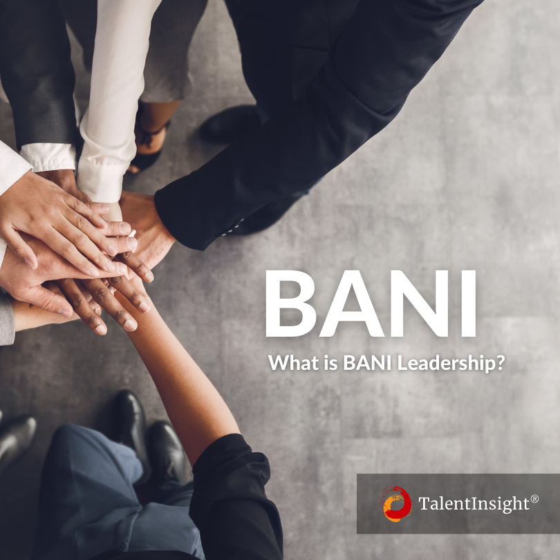 Leadership – TalentInsight